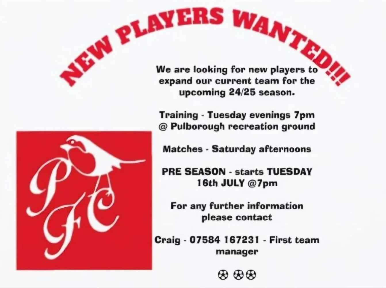 Posts - Pulborough FC - News